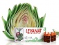 Levanat plus Naturhouse – Odżywki i suplementy diety Naturhouse Poznań ...